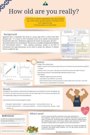 The Science of Aging: Decoding Your Biological Age – Fundacja “Tak jak ...
